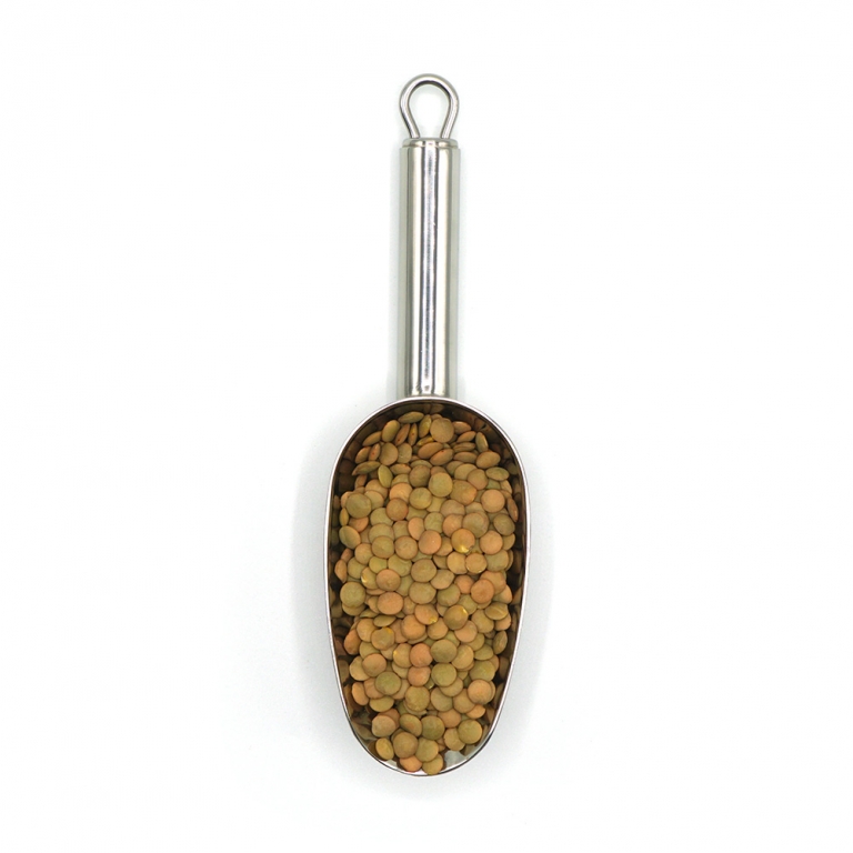 Organic Green Lentils – The Refill Room